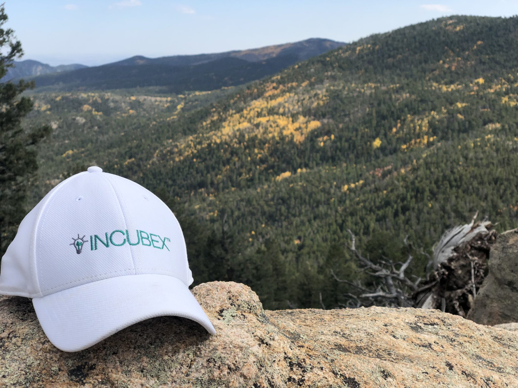 Trayport and IncubEx to Launch TVCM - IncubEx