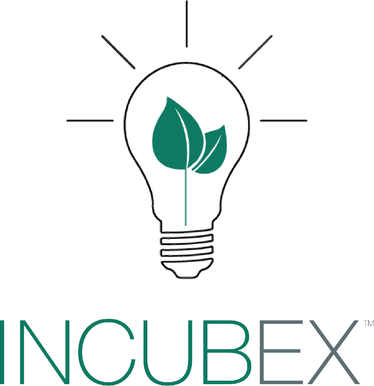 About IncubEx